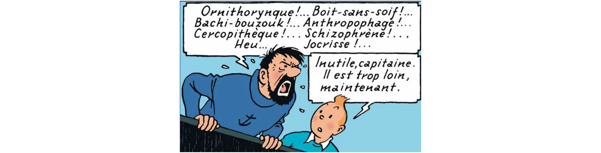 Les Insultes Du Capitaine Haddock Famille Missionnaire De Notre Dame